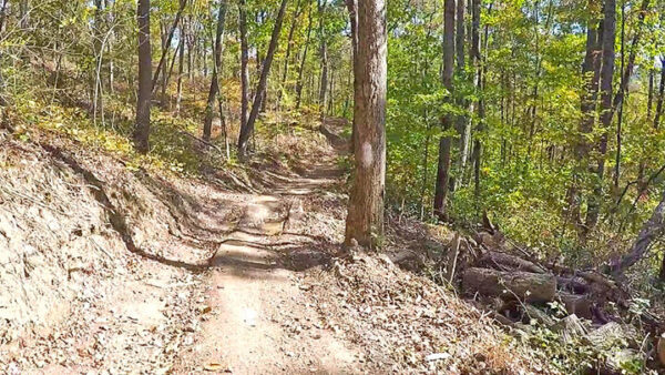 The Best ATV Trails Ohio Has to Offer | Treadworld