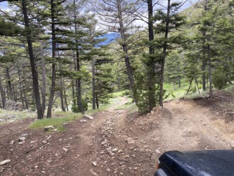 The Best Montana ATV Trails | Treadworld